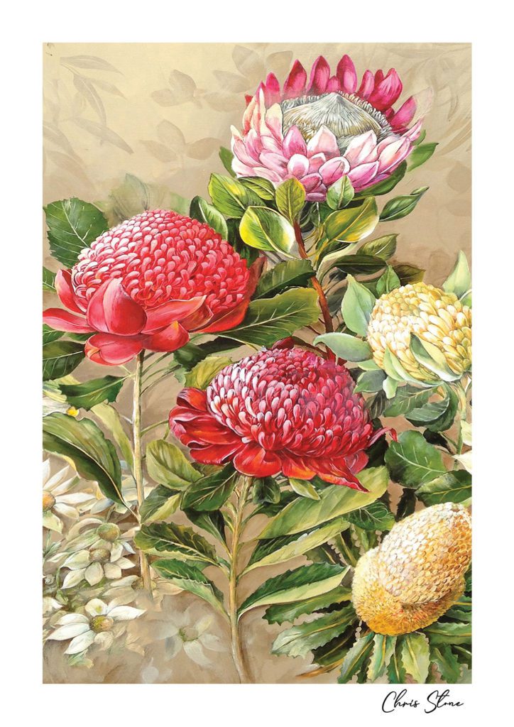 Chris Stone 'Waratah' - Australian Museum of Design